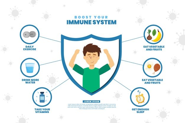 Increase Your Immune System with Supreme Immune Boosters